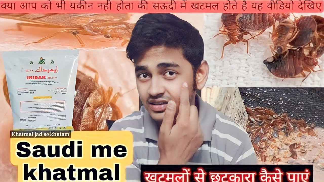Saudi me khatmal | khatmalo ka aatank| how to rid bed bugs best Powder ...
