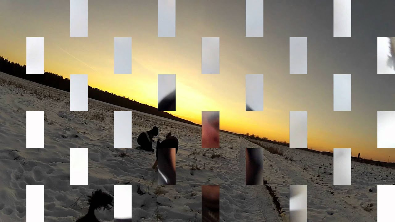 dog eats gopro hero 2 - YouTube