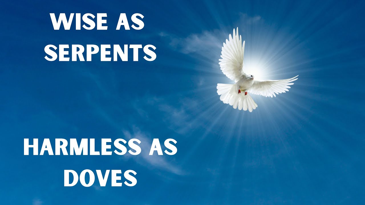 11 20 22 Wise as Serpents, Harmless as Doves - YouTube