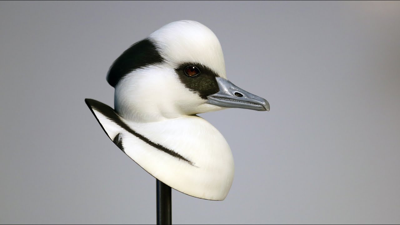 Carving And Painting A Smew - YouTube