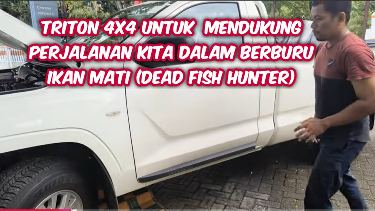 TRITON 4X4 UNTUK MENDUKUNG PERJALANAN KITA DALAM BERBURU IKAN MATI (DEAD FISH HUNTER) - YouTube