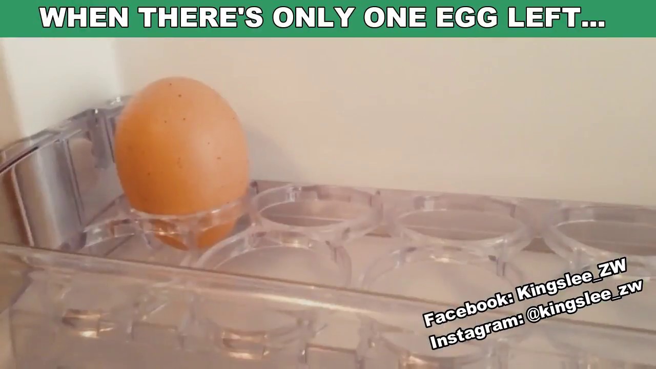 When there's ONE EGG LEFT!!! - YouTube
