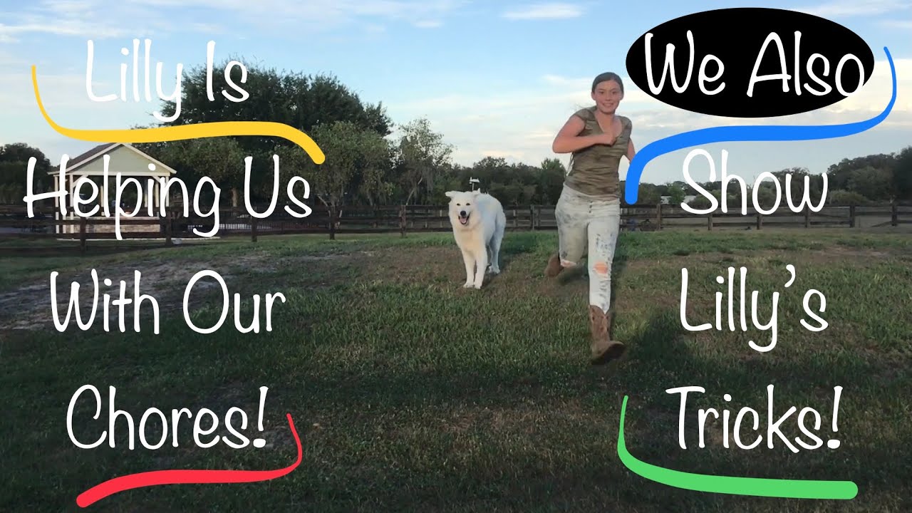 Lilly Lu And The Goats!! - YouTube