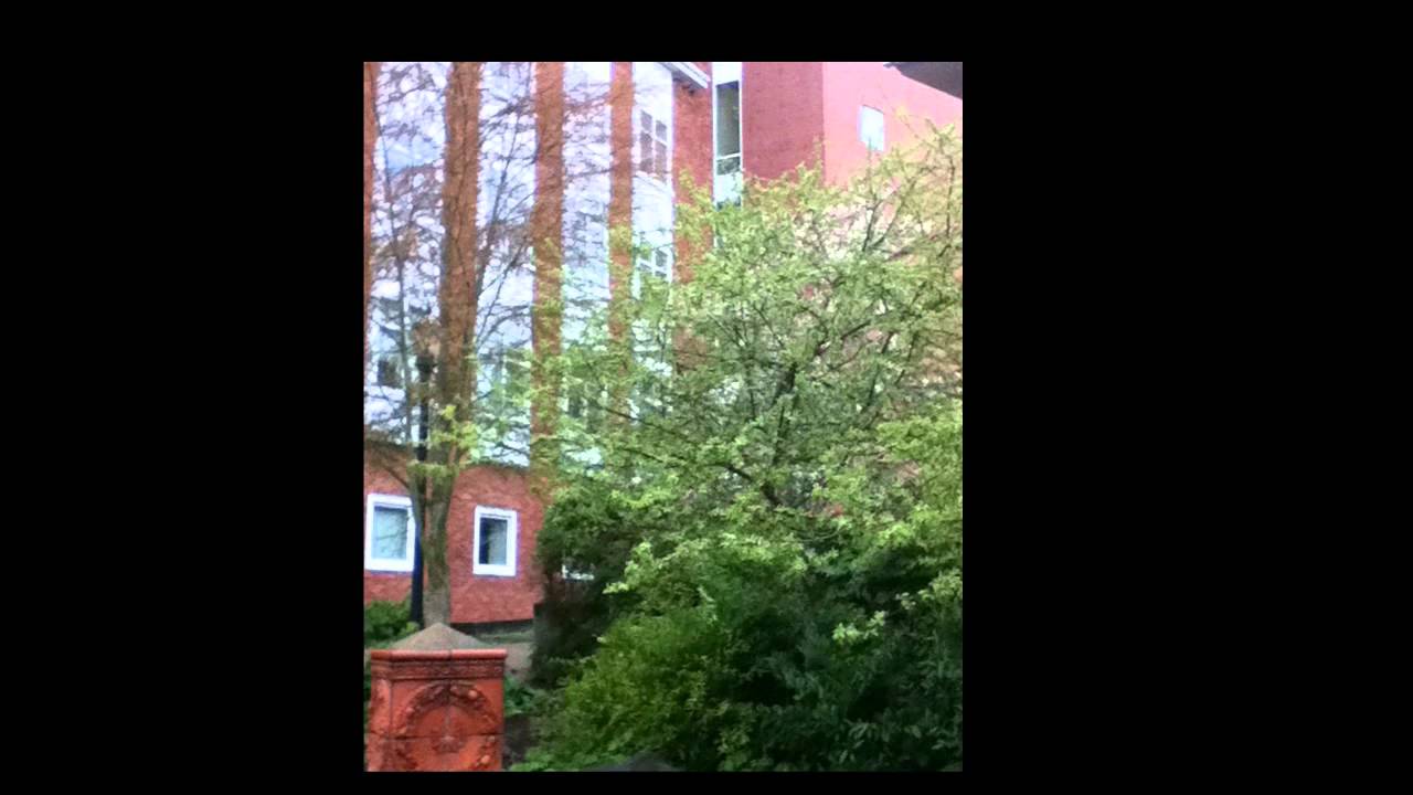 Spring Timelapse at OSU - YouTube