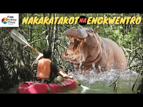 9 HIPPOPOTAMUS SCARY ENCOUNTER Caught on Tape | Dangerous Moments with ...
