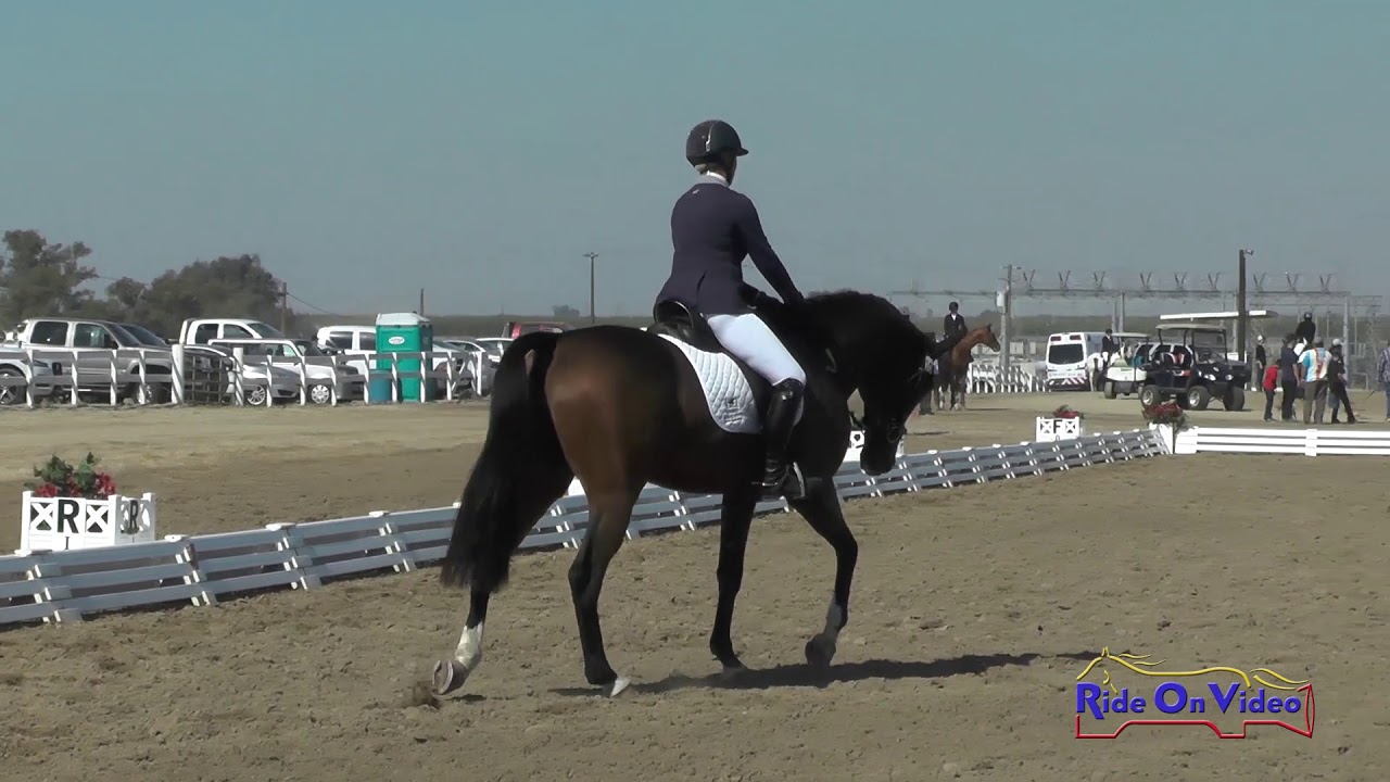 010D Robyn Fisher on Betawave Intermediate Dressage FCHP Oct. 2017 ...
