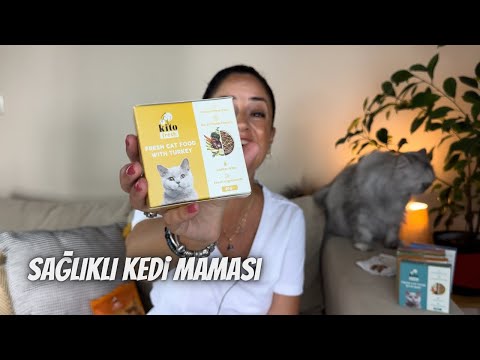 Kediler için hem sağlıklı hem de lezzetli enfes bir mama buldum