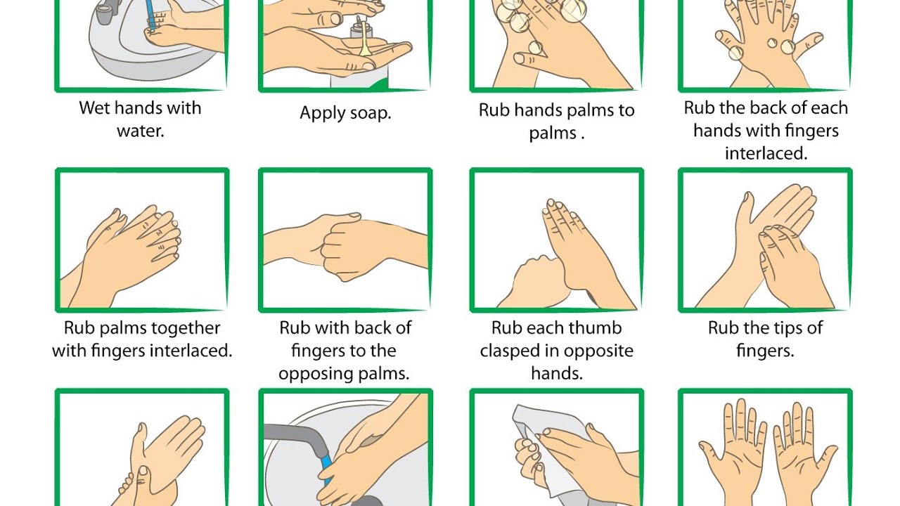 Hand-Washing steps Using the WHO Technique. - YouTube