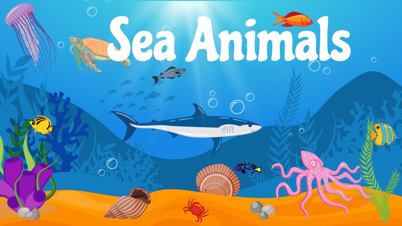 Learn Sea Animals in English | Learn English for Kids | Preschool ...