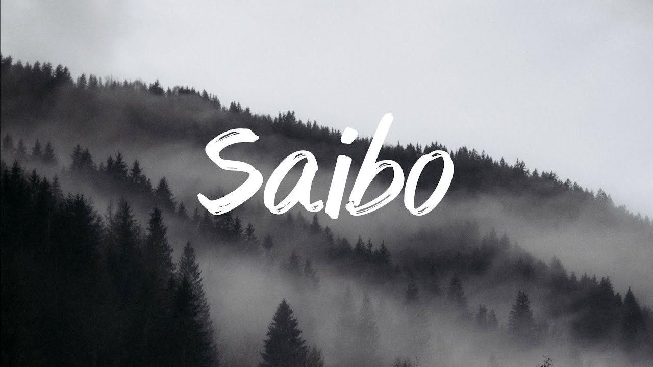 Saibo - Shreya Ghoshal & Tochi Raina - YouTube