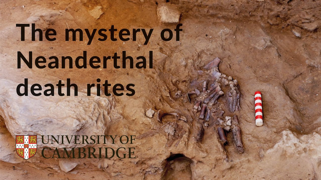 The mystery of Neanderthal death rites - YouTube
