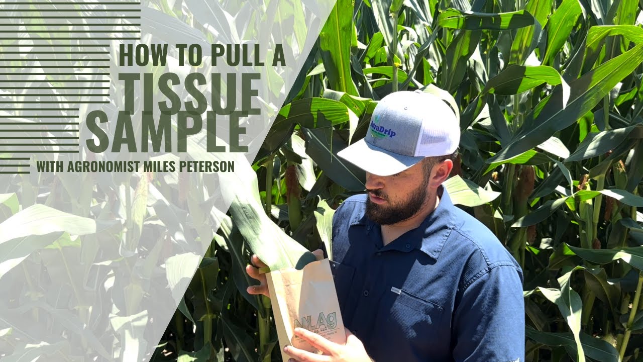 How to Pull and Send a Tissue Sample - YouTube
