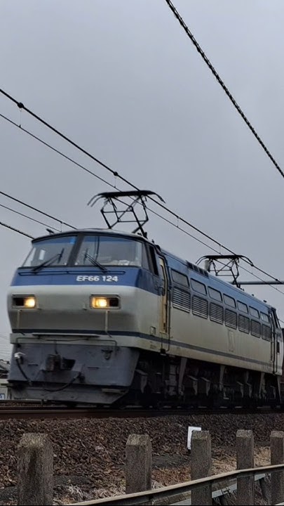 遅5087レ EF66-124+コキ20B #jr貨物 #shorts - YouTube