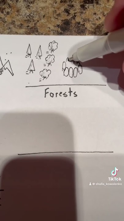Three basic forest types#ttrpg #dnd #5e #gamedev #howtodraw #adventure ...