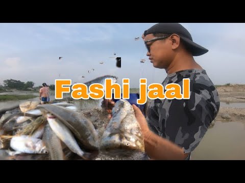 Fishing with current jaal in plain part of nepal - YouTube