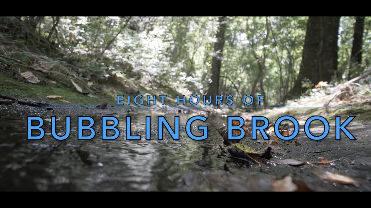 Eight Hours of Bubbling Brook - YouTube