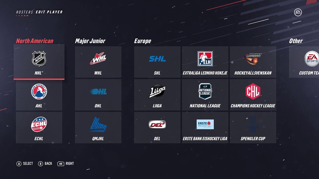 Tougie's NHL 19 ROSTER EDITING SPECTACULAR - The Sequel! - YouTube