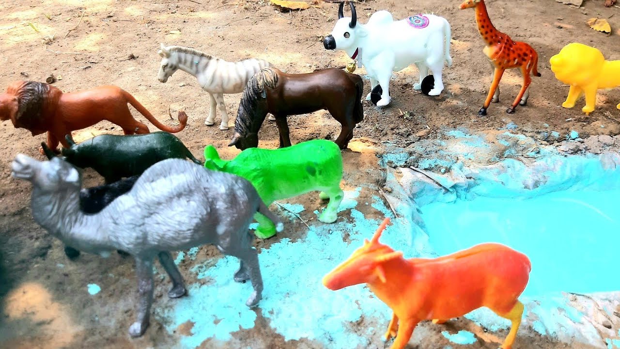 Lion Gondar Giraffe And Animal Ka Video..🐅 - YouTube