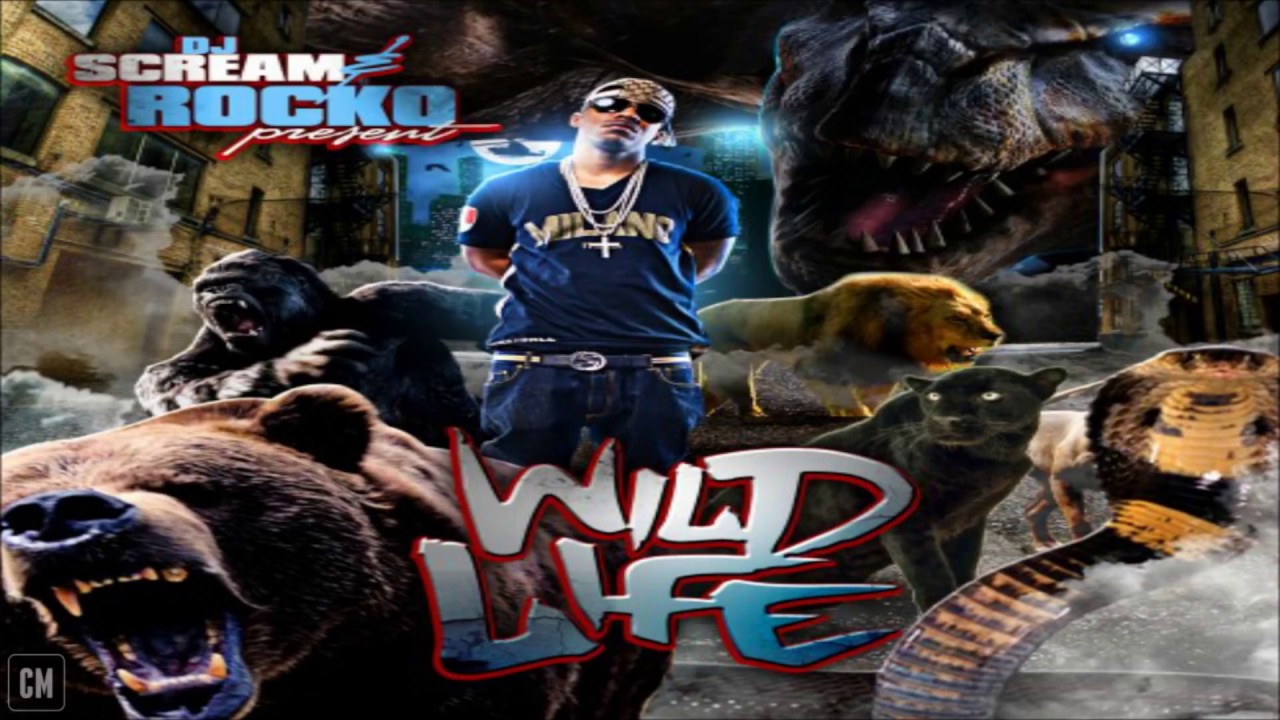 Rocko - Wild Life [FULL MIXTAPE + DOWNLOAD LINK] [2010] - YouTube