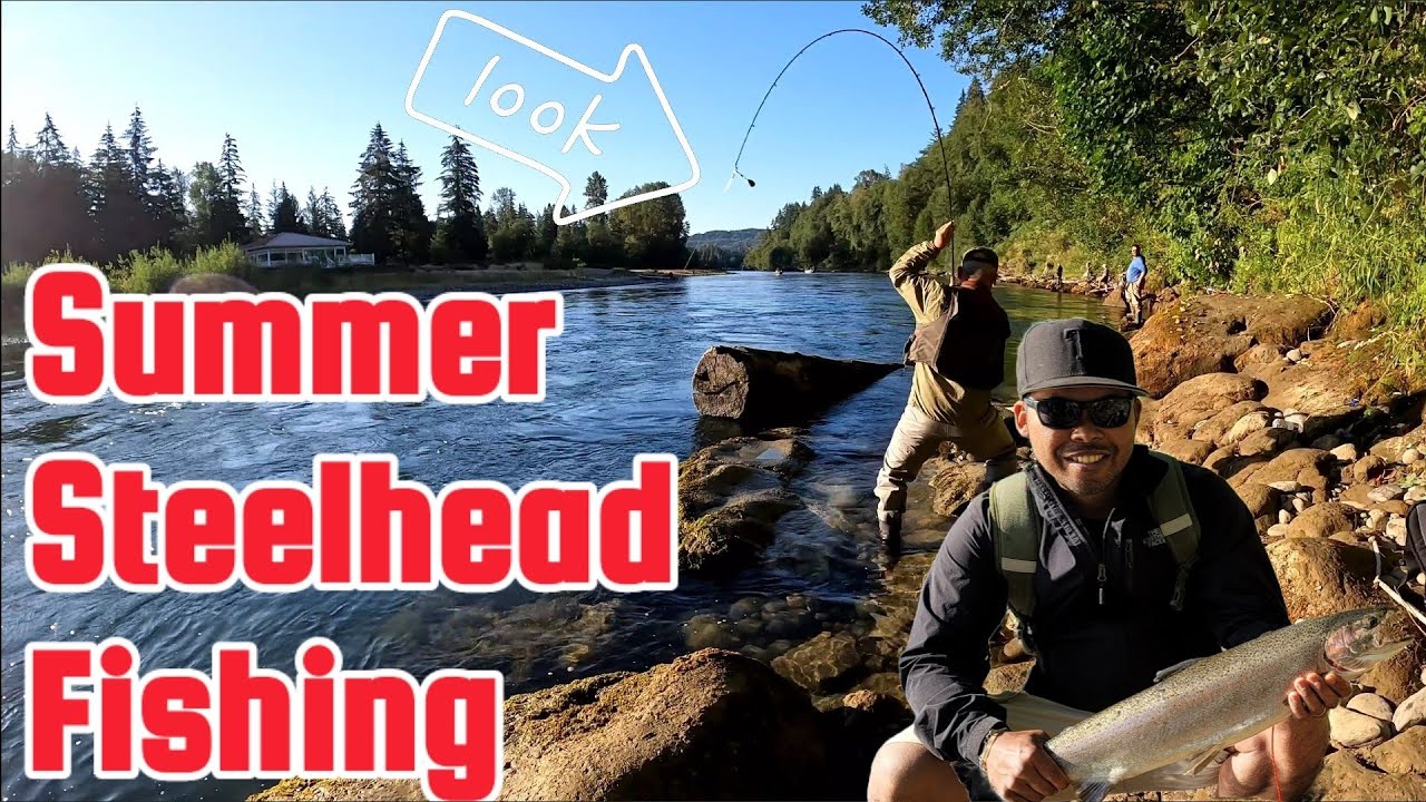 Summer Steelhead Fishing In The Creek - YouTube