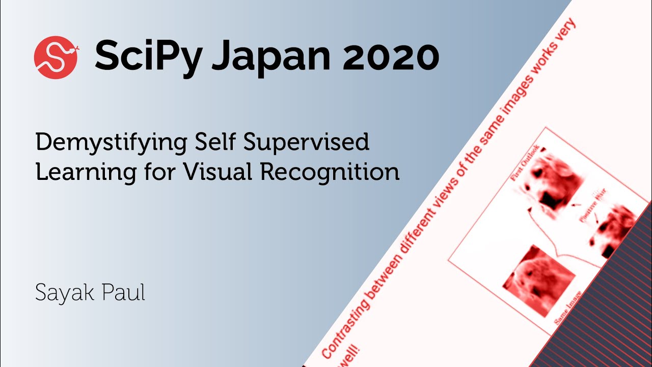 Demystifying Self Supervised Learning for Visual Recognition | Sayak ...