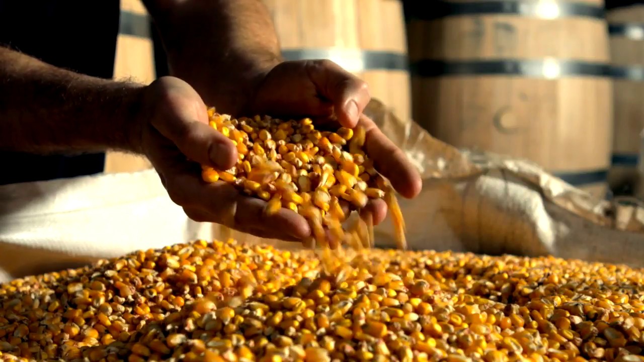 New! Introducing Lonehand Whiskey - YouTube