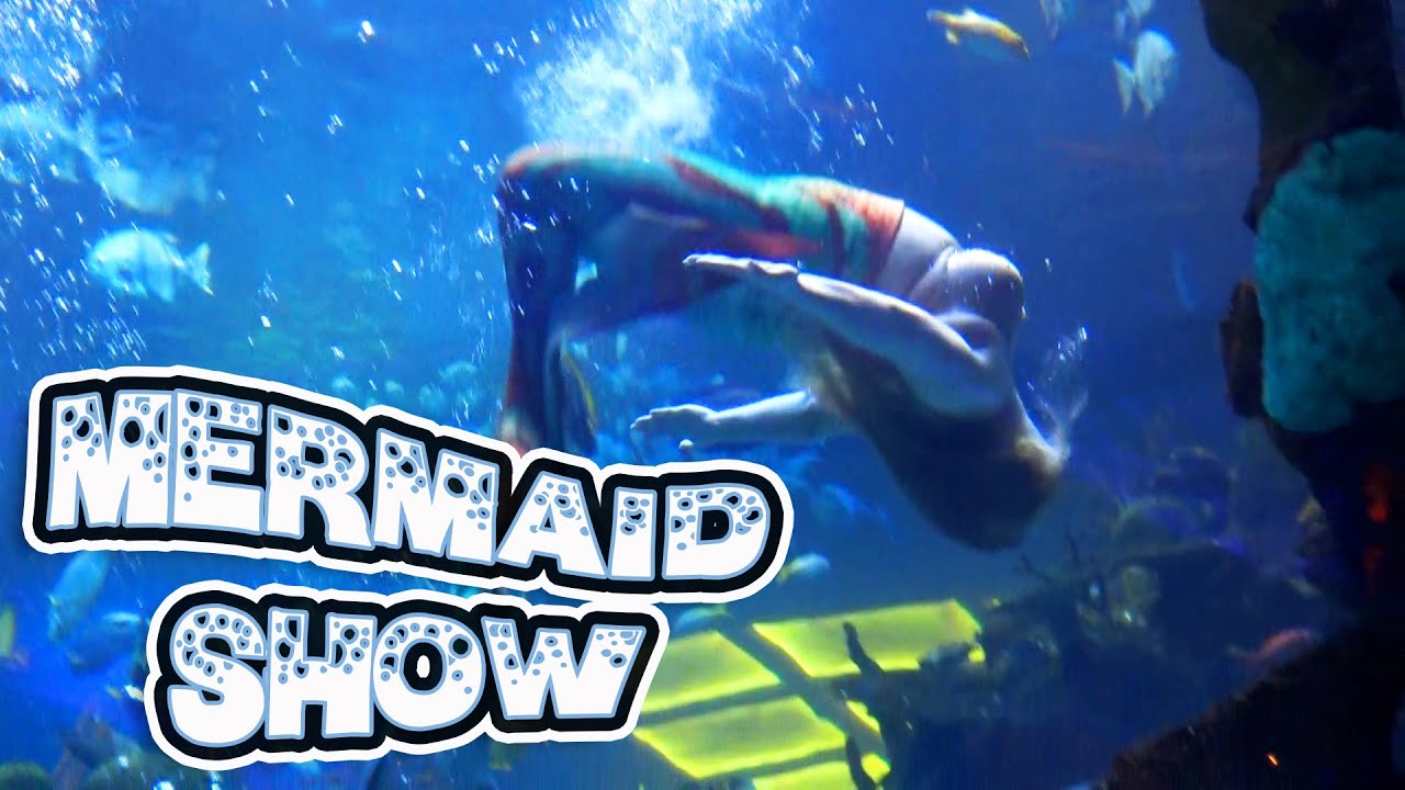 REAL LIVE MERMAIDS! Free Show at Silverton Casino - Las Vegas, Nevada ...