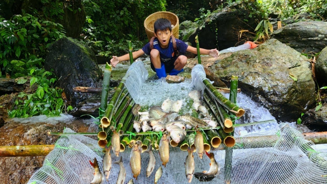 Use bamboo and plastic net to make a fish trap in a waterfall, harvest ...