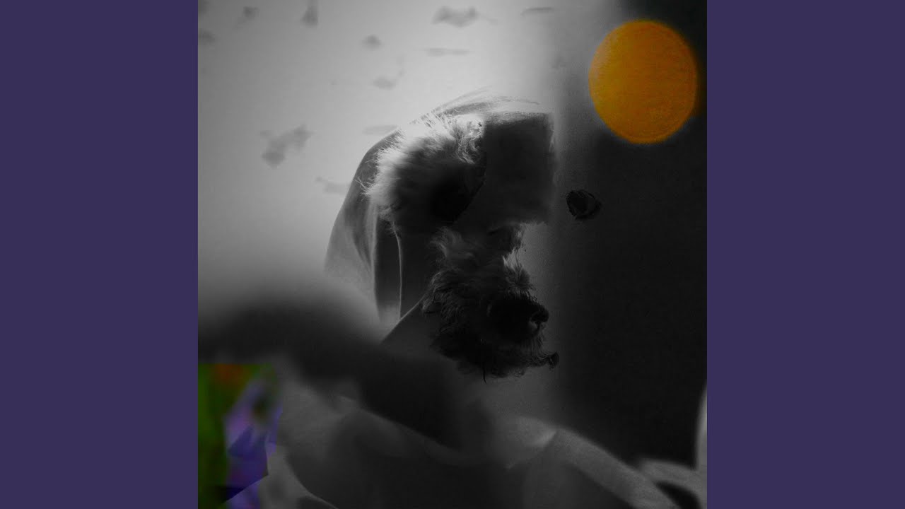 I'll Never Be Normal Again - YouTube