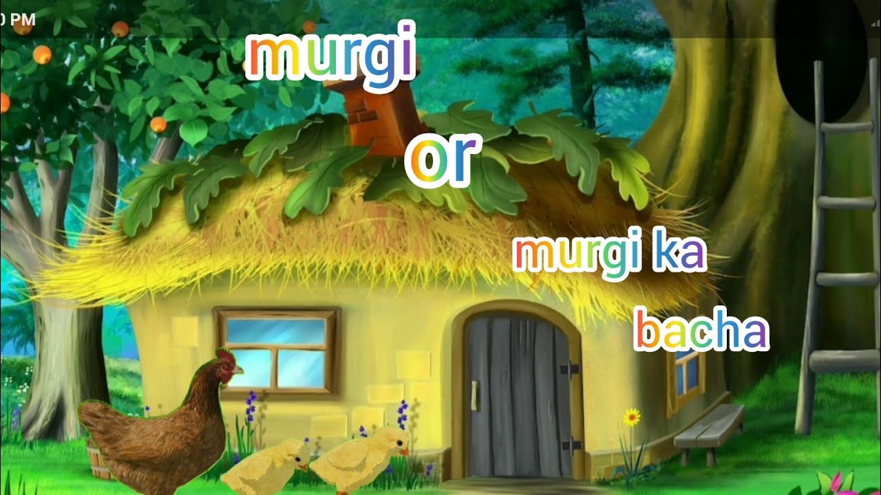 murgi ka bacha #hindi #animal #story #cartoon / murgi ka bacha - YouTube
