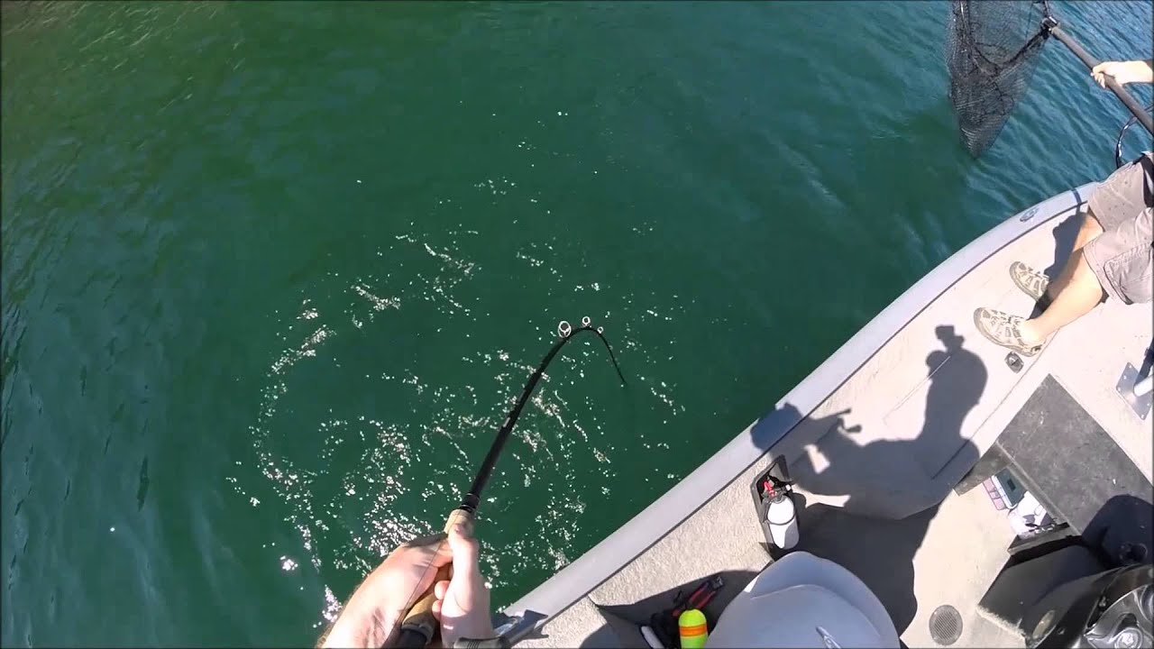 42'' Tiger Muskie Merwin Reservoir WA - YouTube