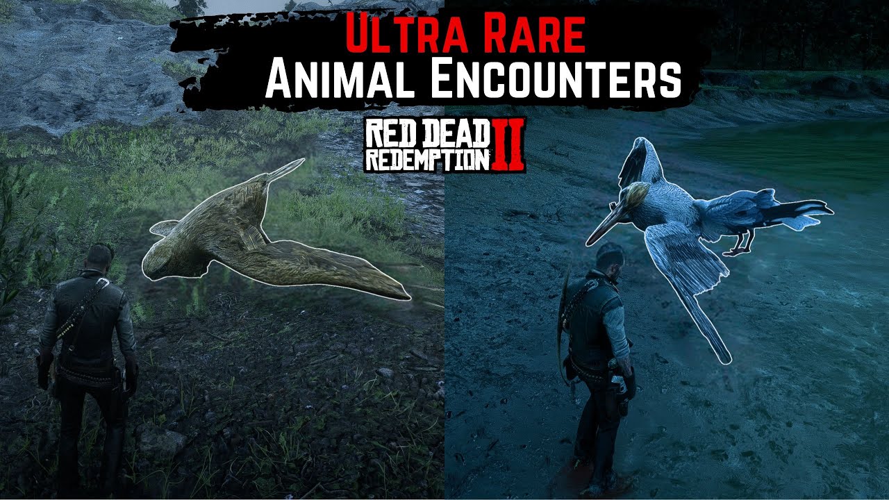 Ultra RARE Animal Encounters in Red Dead Redemption 2 | Strange Animals ...
