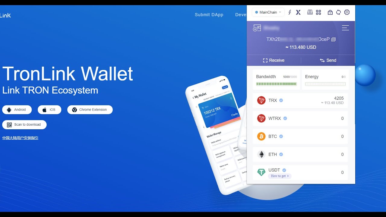 How to Install and Deposit to a Tron Wallet - YouTube