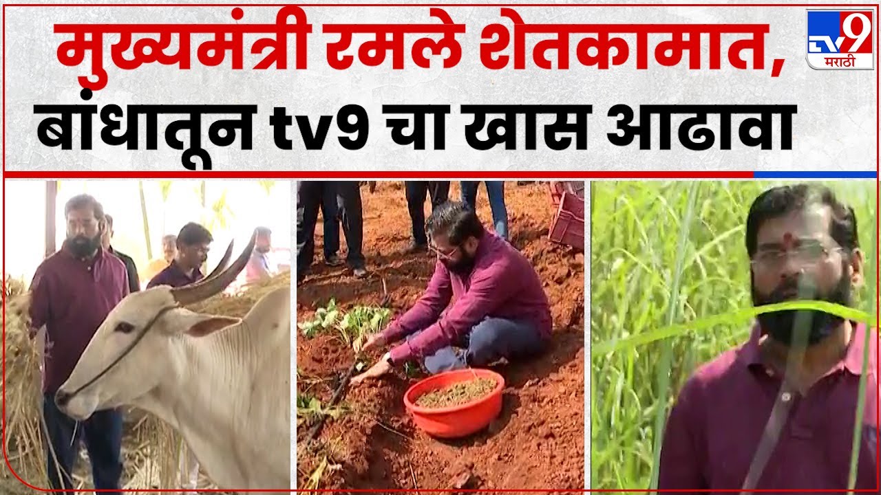 CM Eknath Shinde At Satara Farm : मुख्यमंत्री एकनाथ शिंदे यांचं शेतकरी रूप, शेतकाम आणि आढावा ...