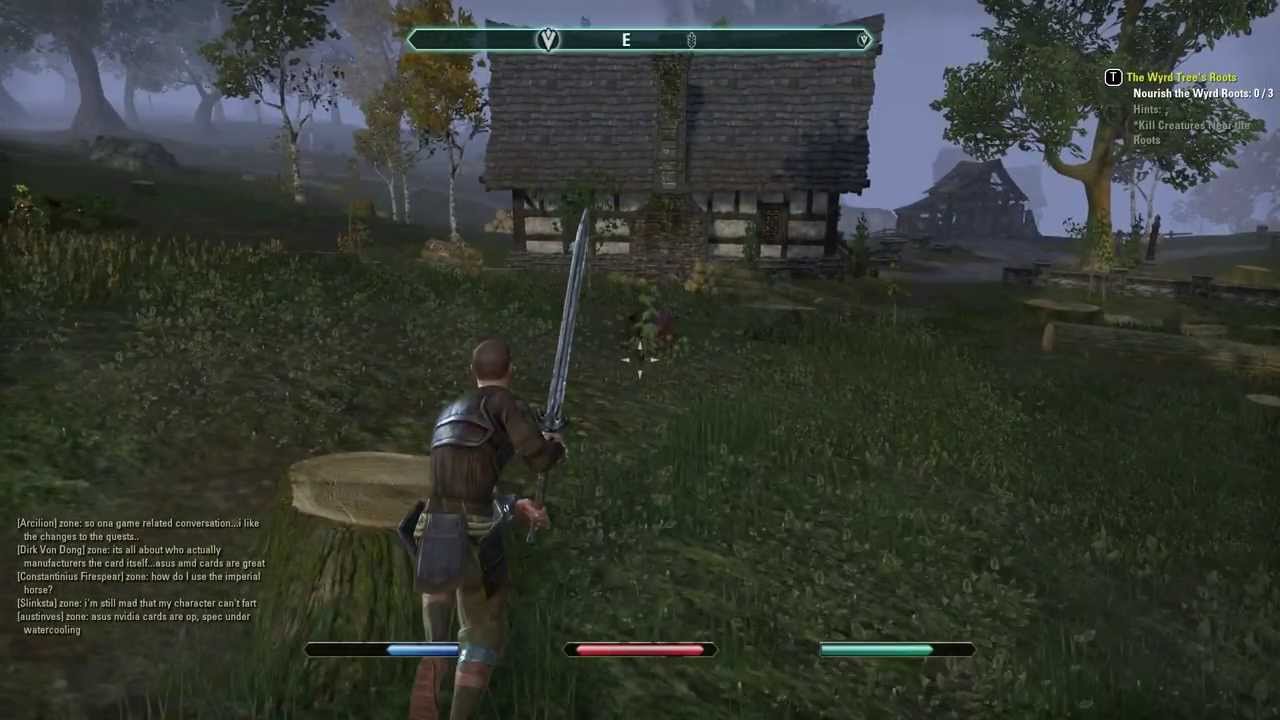 The Elder Scrolls Online Beta - The Wyrd Tree's Roots - YouTube