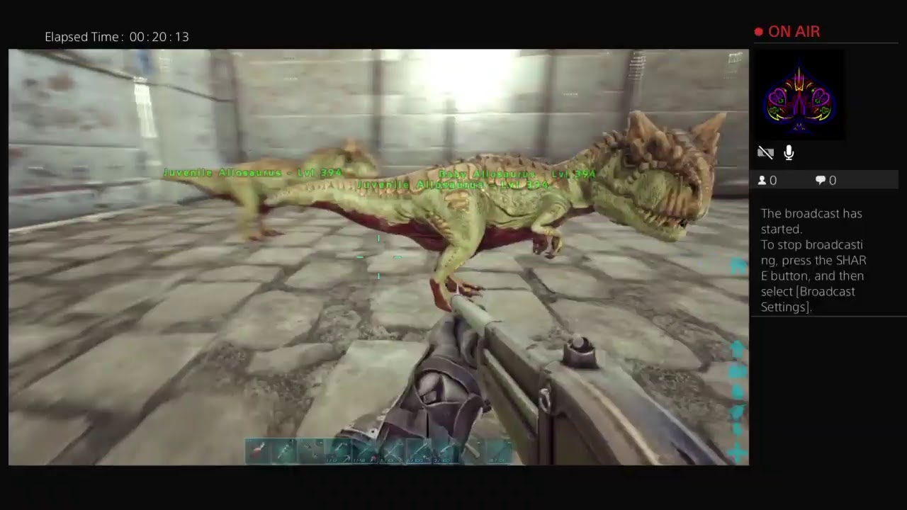 Killin' it with a killer buzz 2ndx - YouTube