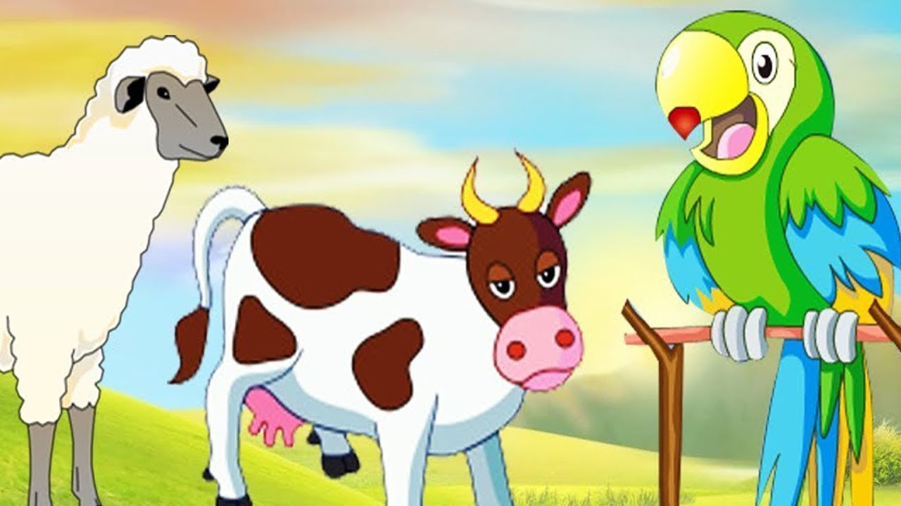 Animals & Birds | Types Of Animals & Birds | English Animation Video ...