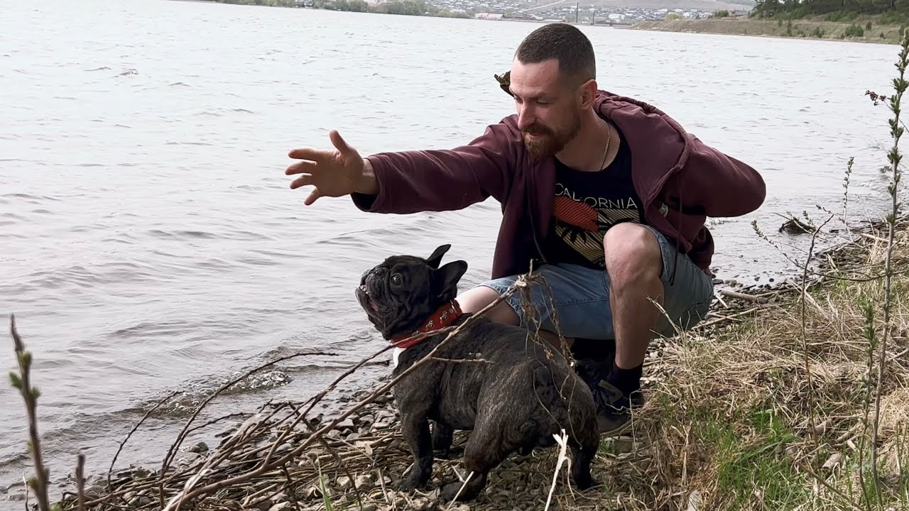 This dog is truly free - YouTube