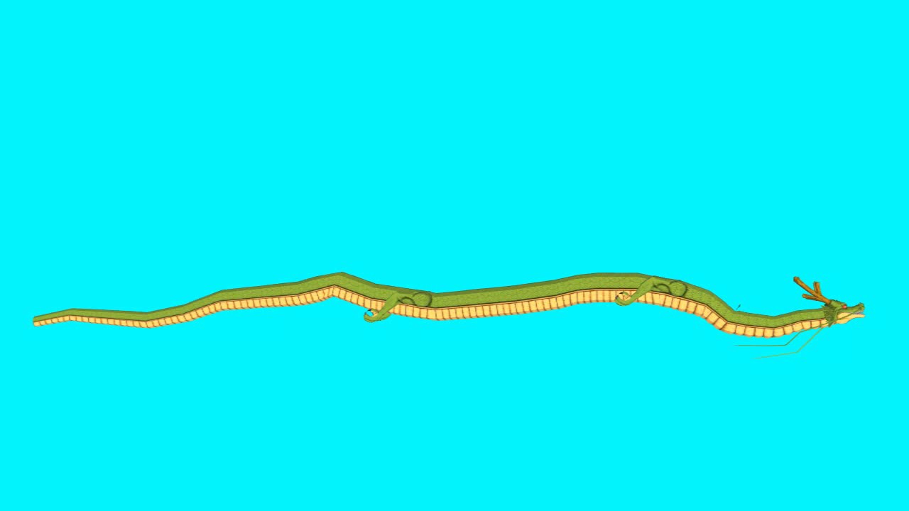 Shenron animated left chroma - YouTube