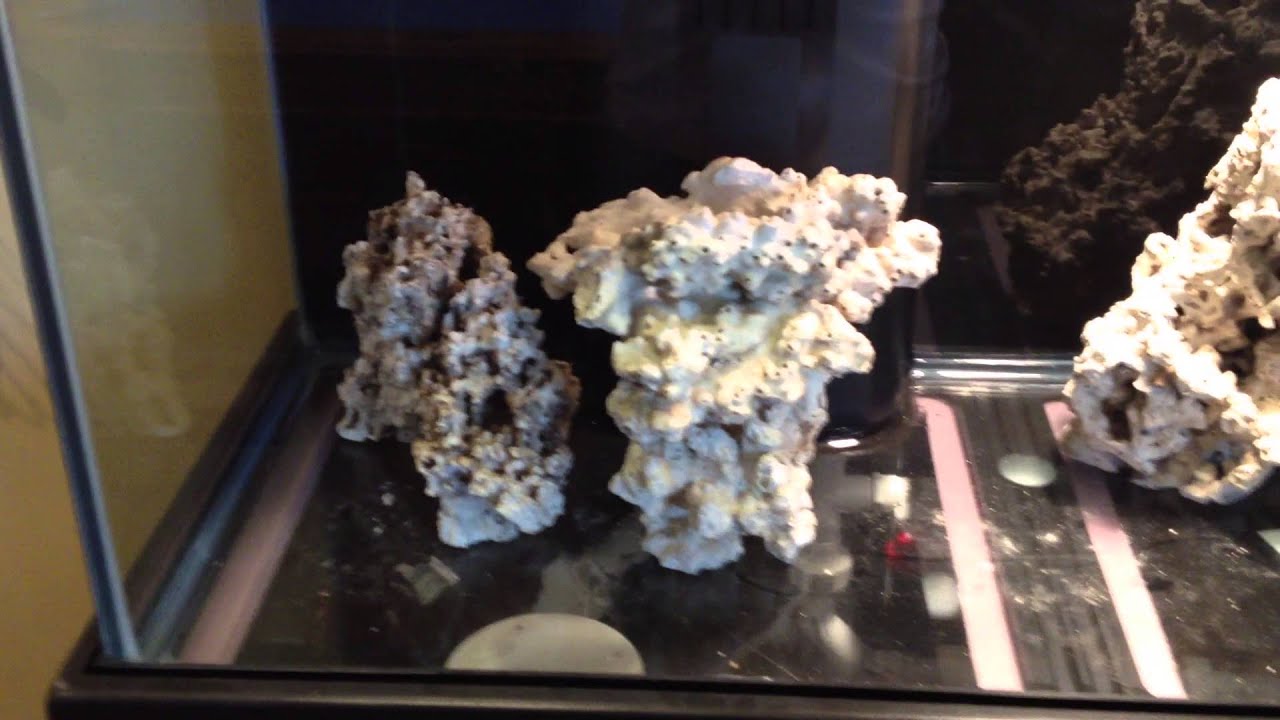 Pukani dry rock and partial reefscape. - YouTube