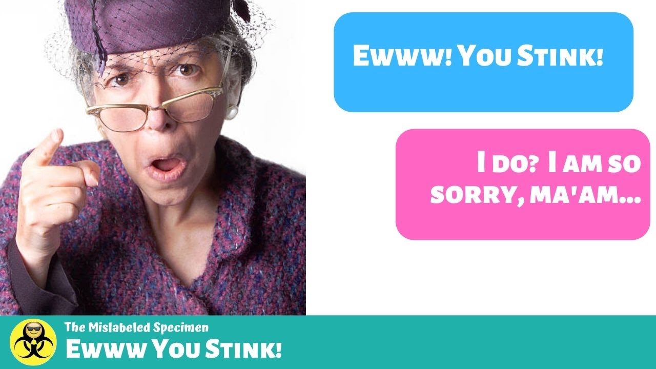 Ewww You Stink! | Funny Lab Stories - YouTube