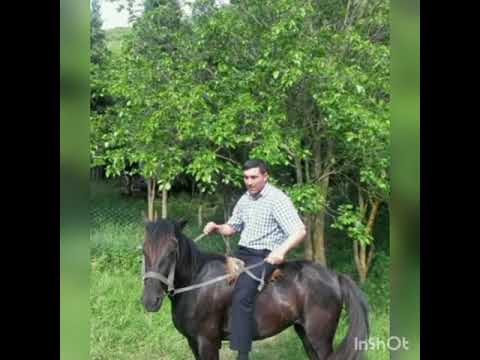 QAZAX RAYON ŞƏHİDİ QOŞQAR QURBANOV