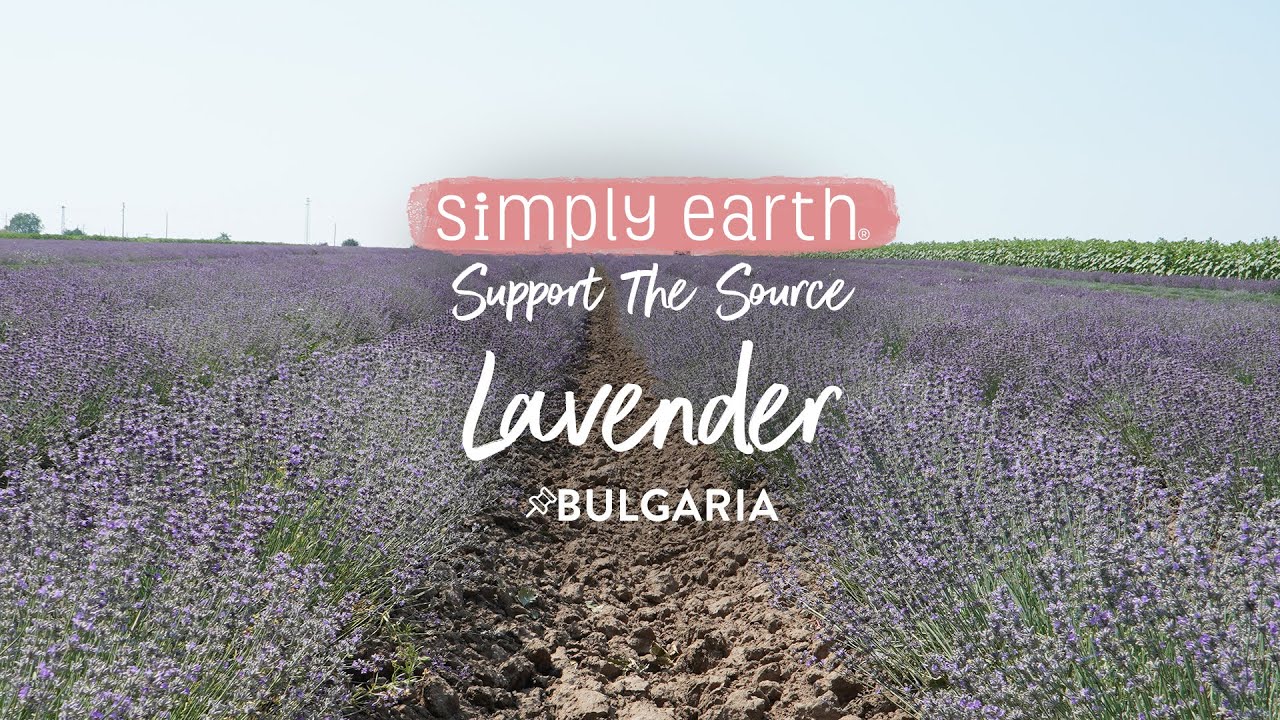 Lavender: Straight From The Bulgarian Lavender Paradise - YouTube