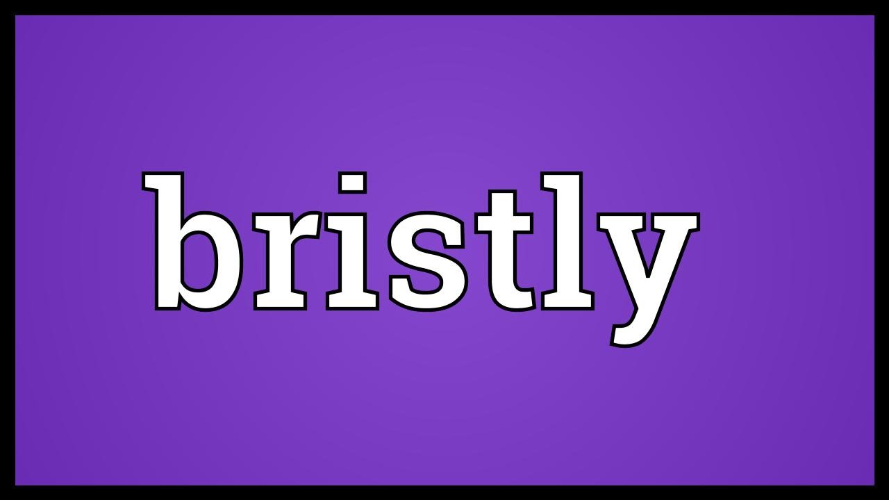 Bristly Meaning - YouTube