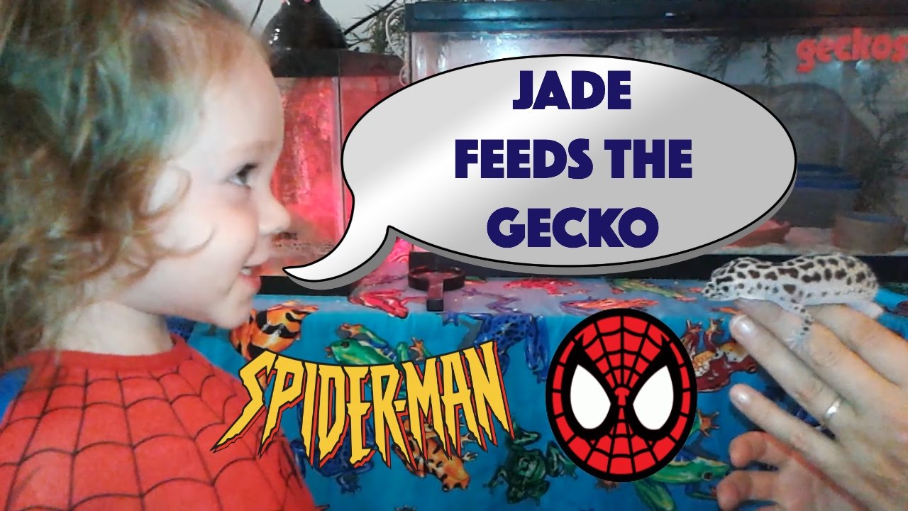 Jade Feeds The Gecko | Spider-Man In Real Life | Educational Video ...