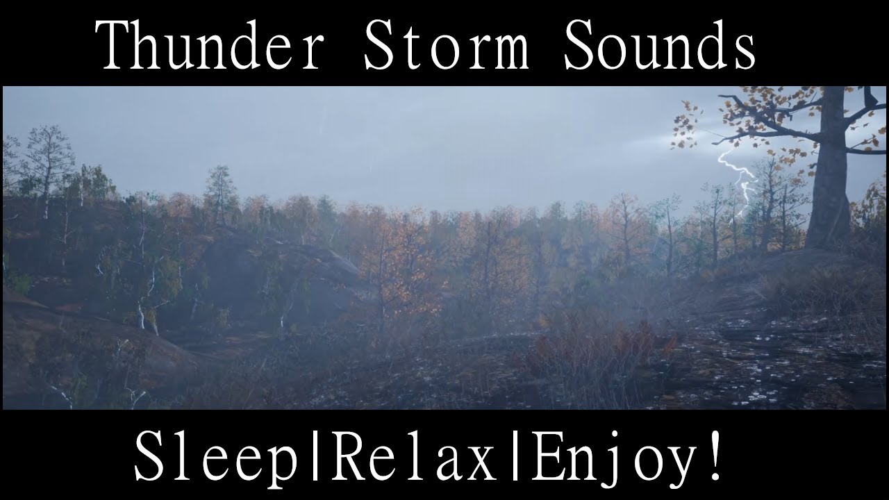 Thunder Storm in Isolated Wilderness for Relaxation and Sleep! - YouTube