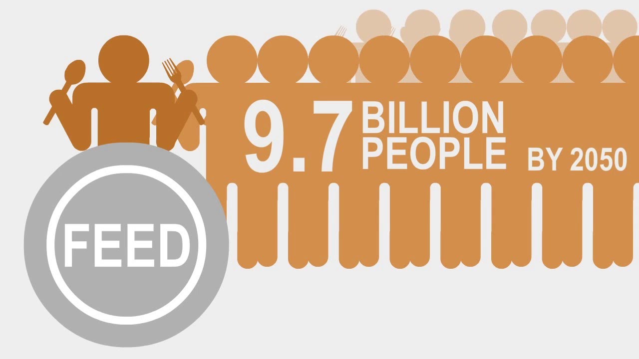 20 Years Global Commercialization of Biotech Crops and 2015 Highlights ...
