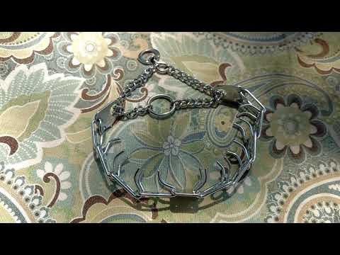 How to put on a Prong Collar - YouTube