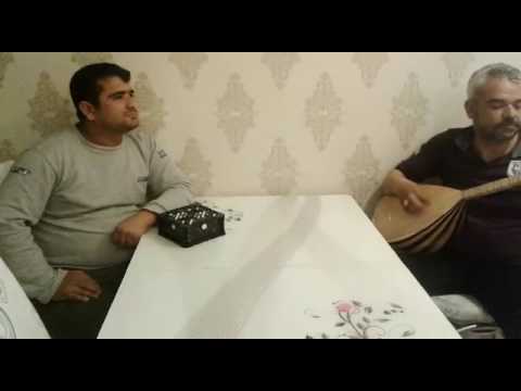 Araban elif köyü  Tanju çoban