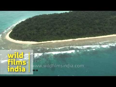 Aerial view of Andaman's dense forest - YouTube